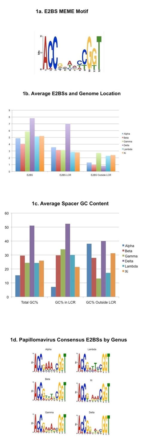 Consensus Sequence Analysis Of E2bss Throughout Papillomavirus Genera