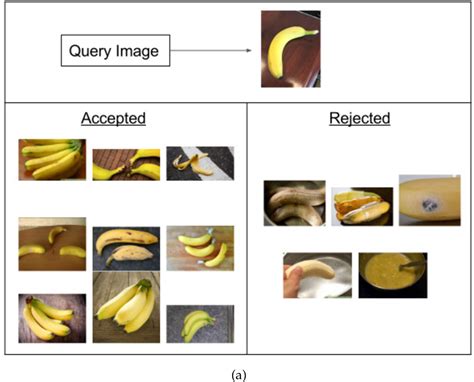 Figure 11 From Semi Supervised Learning For Real World Object Recognition Using Adversarial