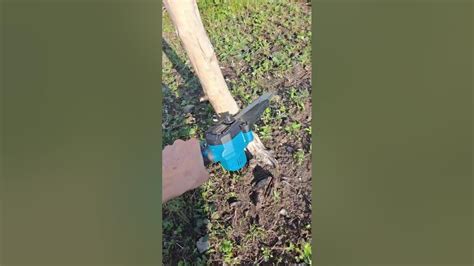 Ножовка Цепная на Аккумуляторе #automobile #животные #goat #животные # ...