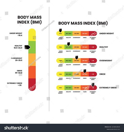 Body Mass Index Bmi Bar Stock Vector Royalty Free 2236914939 Shutterstock