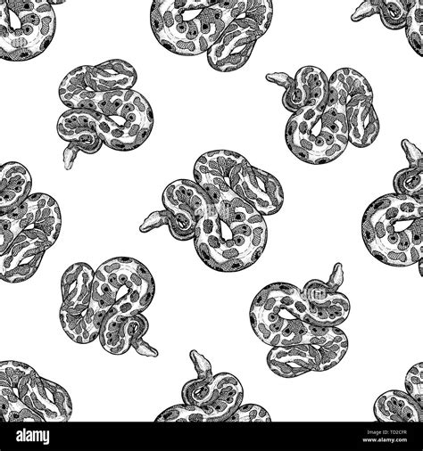 seamless pattern of hand drawn sketch style pythons isolated on white
