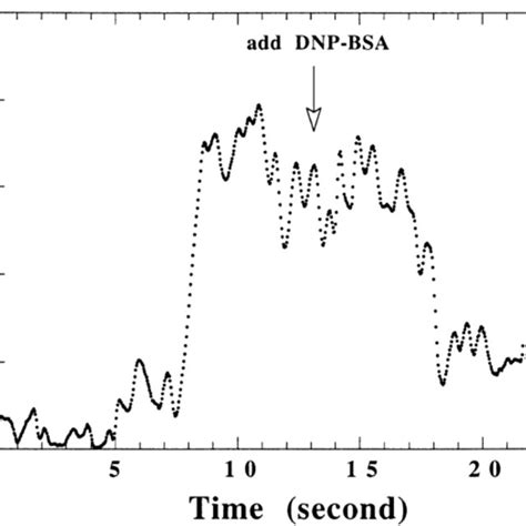 A Tether Force During Tether Formation After Stimulation Of Secretion