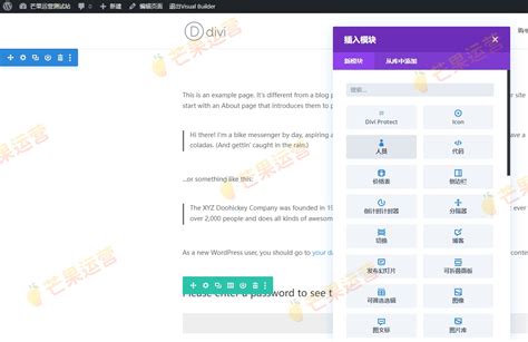 Divi Protect V230 使用 Divi Protect 插件密码保护divi中部分内容插件下载芒果运营