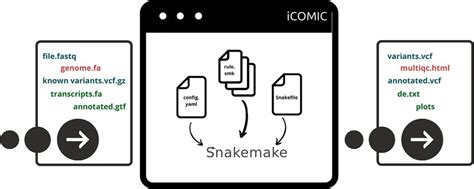 Snakemake Workflow Management System All The Input And Output Files In