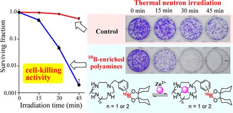 Journal Of Medicinal Chemistry Vol 64 No 12 Acs Publications