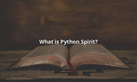 What Is Python Spirit Scripturesavy