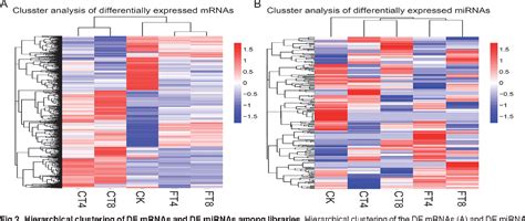 Figure 2 From Integrated Rna Seq And Srna Seq Analysis Identifies