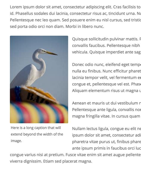 Css Automatically Assign Width Of To Contained Where Width Of Image