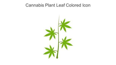 Cannabis Plant Icon PowerPoint Presentation And Slides PPT PowerPoint SlideTeam
