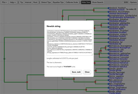 Showing And Saving A Newick File Treemble