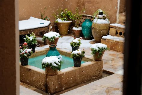 خونه ‌خونه بهترین نقطه‌ی دنیاست🌱☃️ خونهنقلی دیماه۱۴۰۳