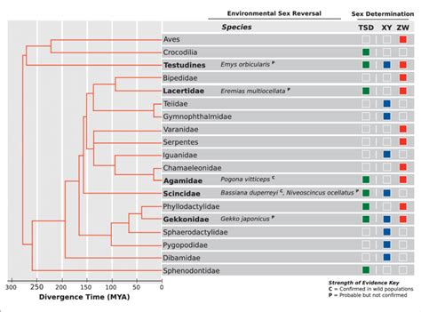 The Phylogenetic Distribution Of Sex Reversal In Reptiles Reptile Download Scientific Diagram