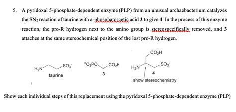Solved 5 ﻿a Pyridoxal 5 Phosphate Dependent Enzyme Plp