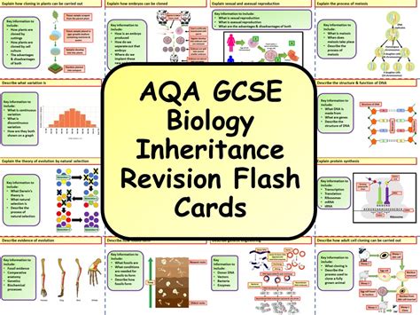 Aqa Ks4 Gcse Biology Science Inheritance And Evolution Revision