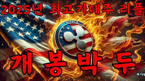 리플이 2025년 최고의 코인이 될수밖에 없는 이유리플 리플코인 리플전망 Youtube