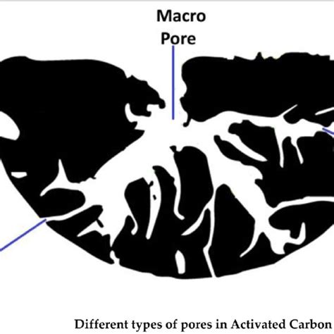 Different Types Of Pores In Activated Carbon Download Scientific Diagram