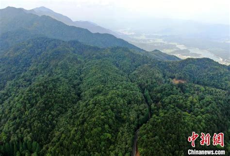探访三明将乐龙栖山国家级自然保护区 中国福建三农网