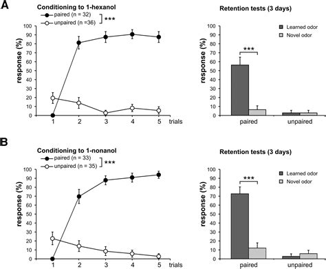Long Term Memory Shapes The Primary Olfactory Center Of An Insect Brain