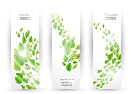 Swirling Leaf Banners Vector Pack 80638 Vector Art At Vecteezy
