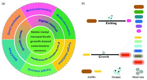A Schematic Representation Of Seed Free And Seed Mediated Based Download Scientific Diagram