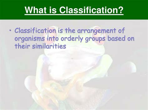 Ppt Classification Powerpoint Presentation Free Download Id8929275