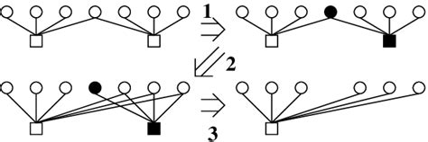 Example Of Check Merging For A Degree 2 Punctured Variable Node
