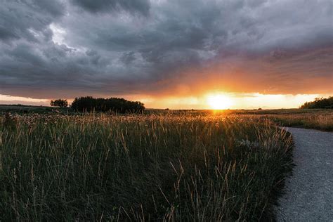 Sunset Path Photograph By Jose Diaz Fine Art America