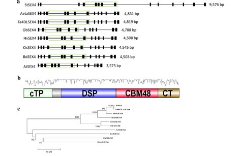 Structures And Phylogenetic Relationship From A Range Of Species A