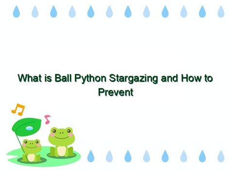 What Is Ball Python Stargazing And How To Prevent It Vital Frog