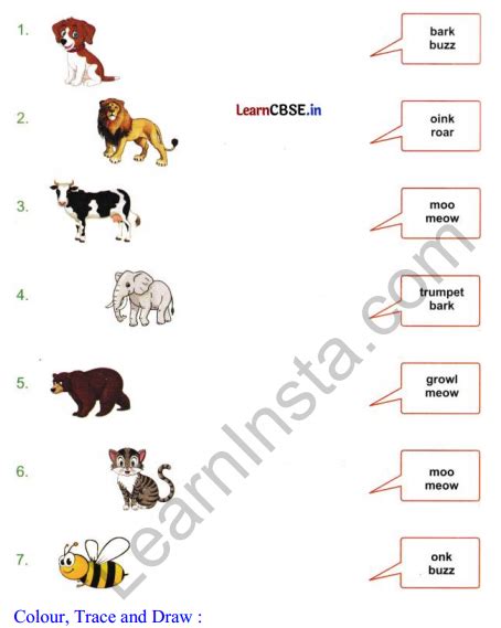Shadow Story Class 2 Worksheet With Answers Maths Chapter 4