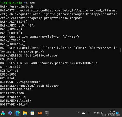 使用linux环境变量linux 使用环境变量 Csdn博客