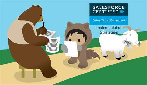 Salesforce Sales Cloud Consultant Exam Preparation Implementation Strategies