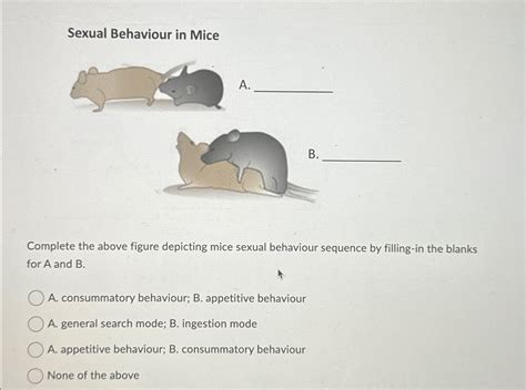 Solved Sexual Behaviour In Miceaplete The Above Figure