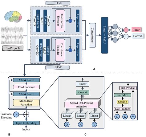 Frontiers A Deep Neural Network And Transfer Learning Combined Method