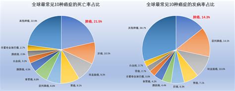 肺癌有多常见？全球与中国的发病率数据全解读 科普新疆 新疆本地化科普资源共享开放平台