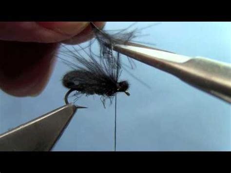 Cdc Beetle Fly Tying Fly Tying Patterns Beetle