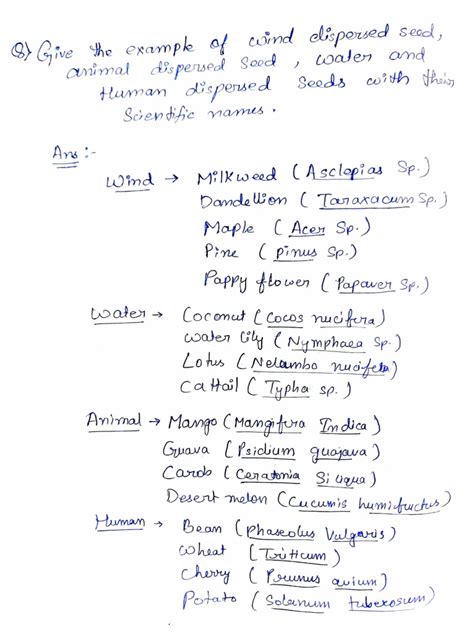 2nd Assignment Pdf