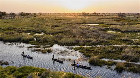 Delta Do Rio Okavango The Okavango Delta Often Referred To As One Of