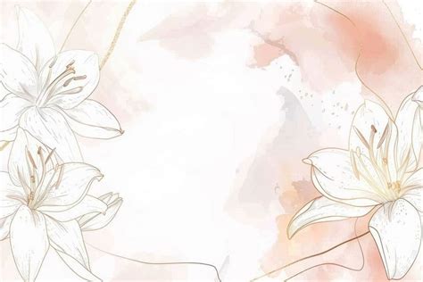 Lily Border Frame Drawing Sketch Backgrounds