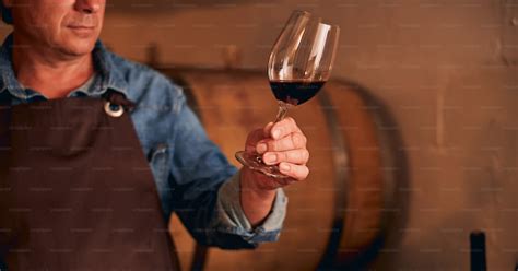 와인 저장고에 서 있는 동안 알코올 음료 잔을 들고 앞치마를 입은 남자의 클로즈업 사진 Unsplash의 포도 나무 식물 이미지