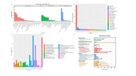 Characterization Of Functional Annotation A Go Functional Download Scientific Diagram