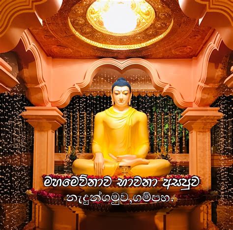 යතිවර පූජා නොච්චියාගම රනෝරාව ශ්‍රී සම්බෝධි ආරණ්‍ය සේනාසනස්ථ විදර්ශනා භාවනා මධ්‍යස්ථාන භූමියේ