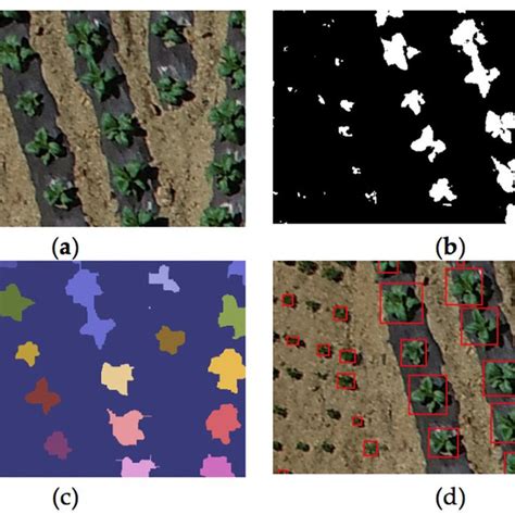 Process Of Candidate Selecting Algorithm A The Algorithm Takes In An