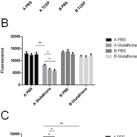 Cleavage Of The Disulfide Bond With Tcep Or Glutathione In Vitro A Download Scientific