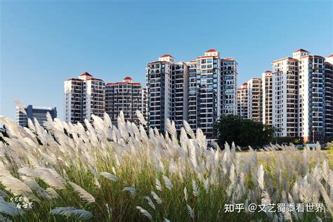 去海南避寒过冬不必非去三亚，综合评估，这3个地方性价比更高 知乎