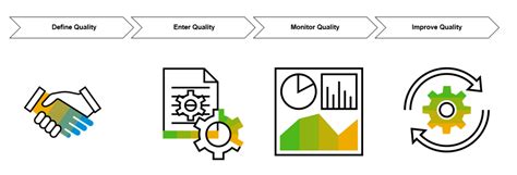 Introduction Sap Data Quality Management Dqm Avelon