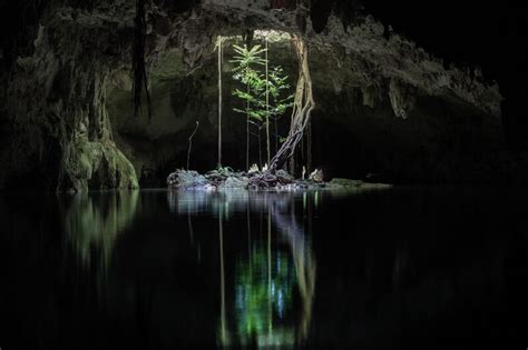 Linkedin Michael Hewitt 페이지 Cybersecurity Pto Apple Espresso