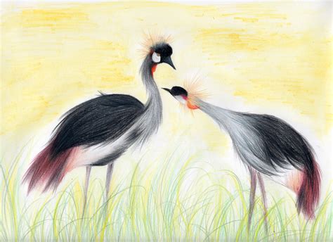 Grey Crowned Crane By Chiroyo On Deviantart