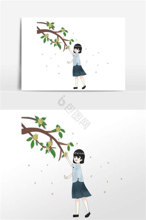 摘桂花图片 摘桂花素材免费下载 包图网