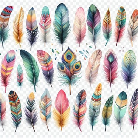 Premium Photo Cute Feather Illustration